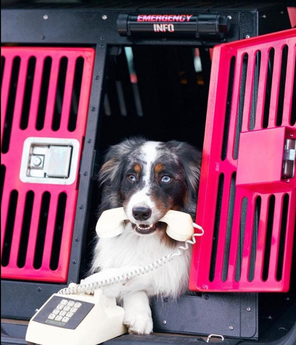 Emergency Information Tube Black – TNC Crates