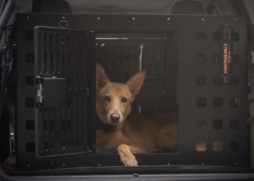 Emergency Information Tube Black – TNC Crates